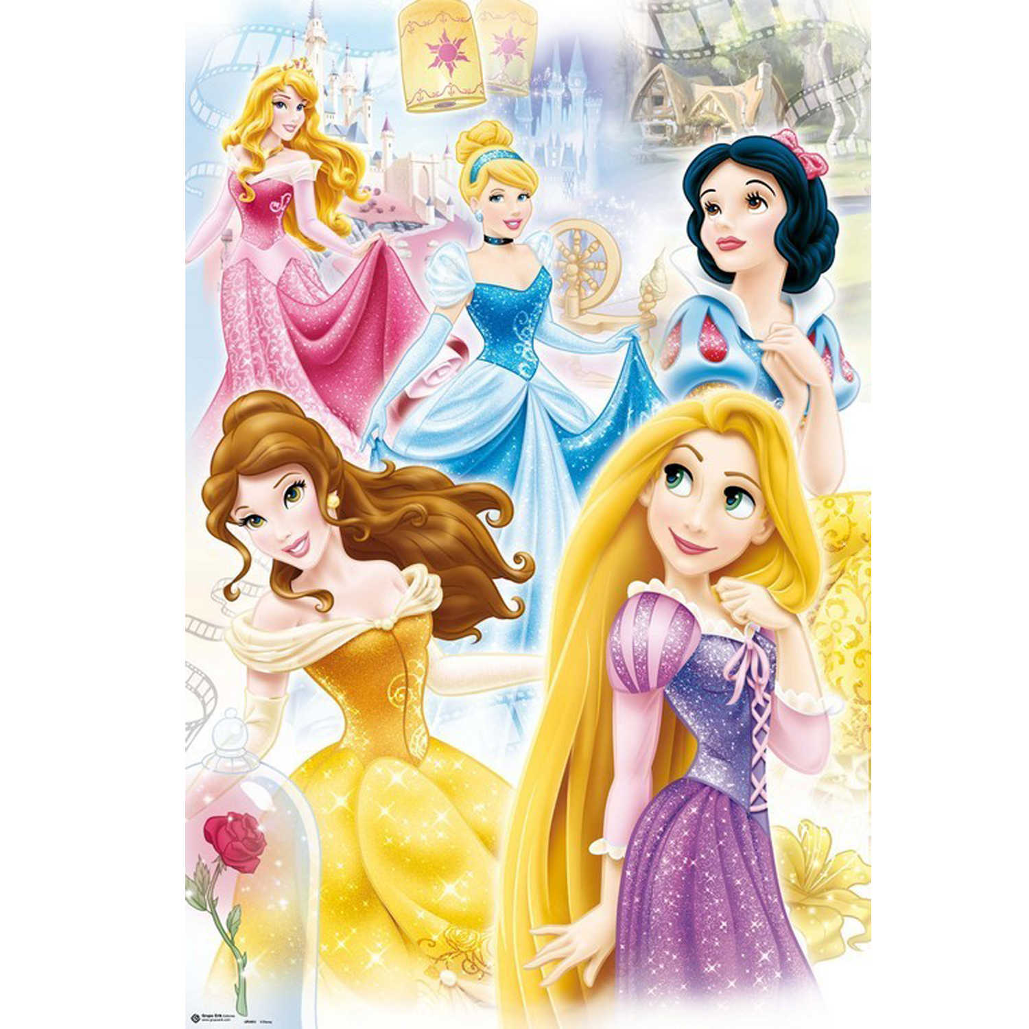 Poster DISNEY Princesses - Dansmamaison